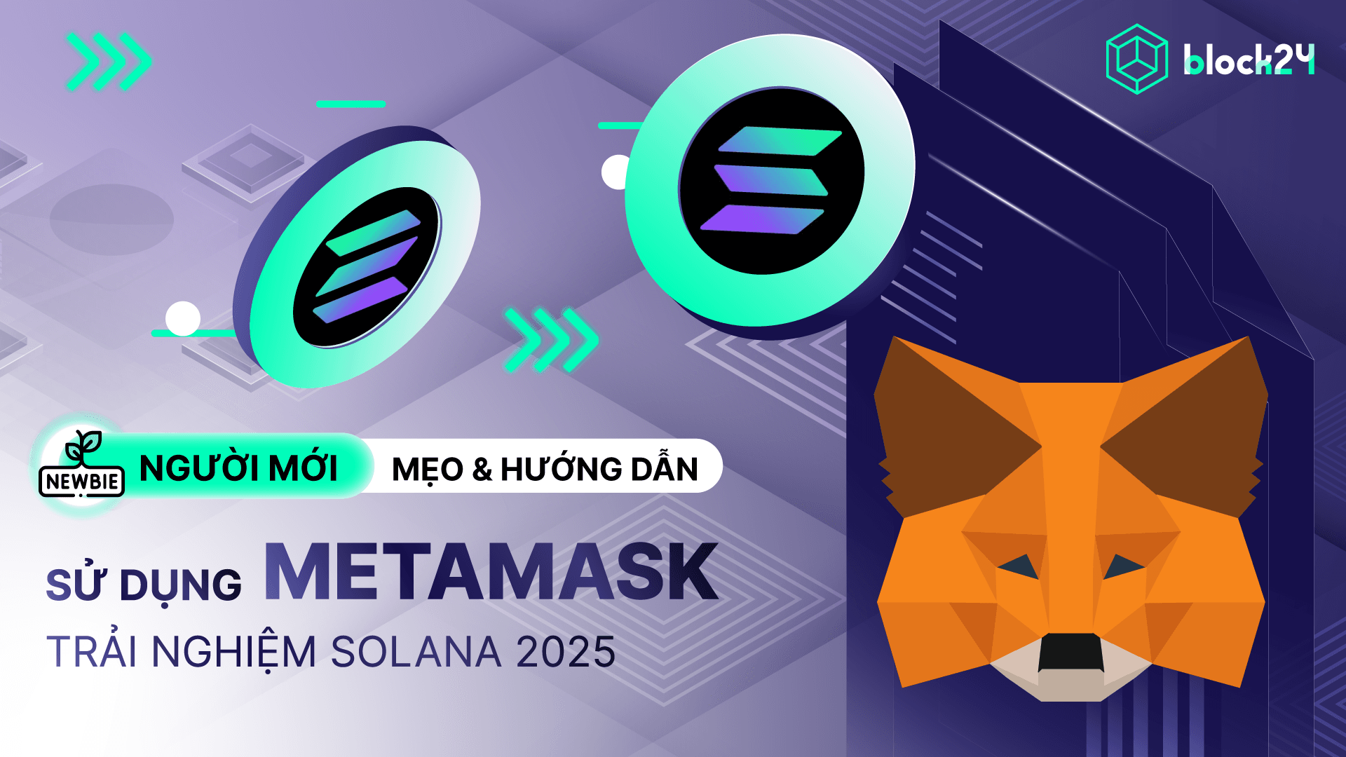 Các bước thêm mạng SOL vào MetaMask chi tiết cho người mới 2025
